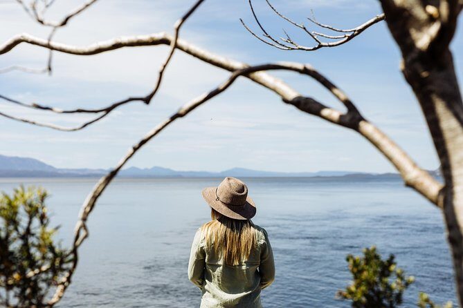 The Pillinger Explorer - Does the Price Match the Experience?