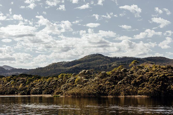 The Pillinger Explorer - Final Thoughts: Is It Worth It?