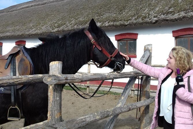 The "Puszta" Horse Show - Exploring the Itinerary in Detail