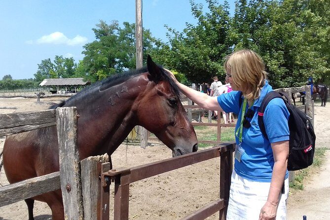 The "Puszta" Horse Show - Practical Tips for Travelers