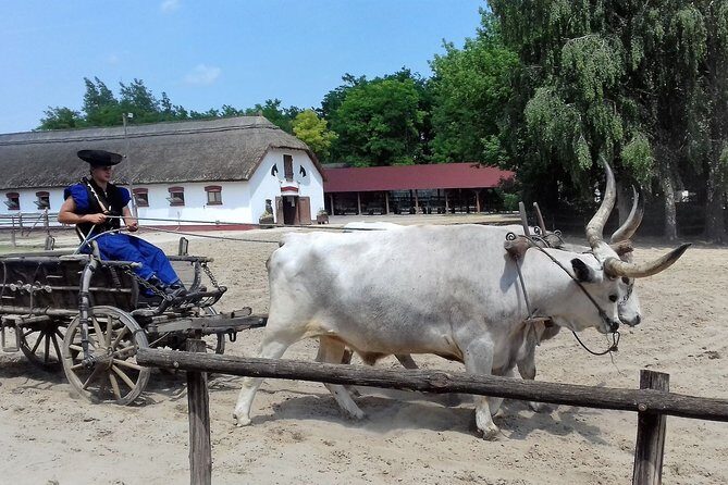 The "Puszta" Horse Show - The Sum Up