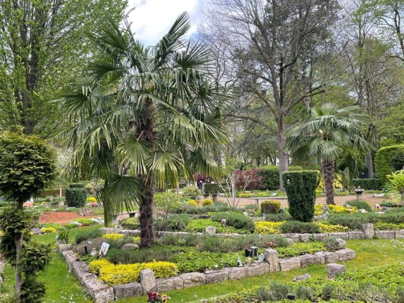 The rather unknown Melaten - What Makes Melaten Cemetery Special?