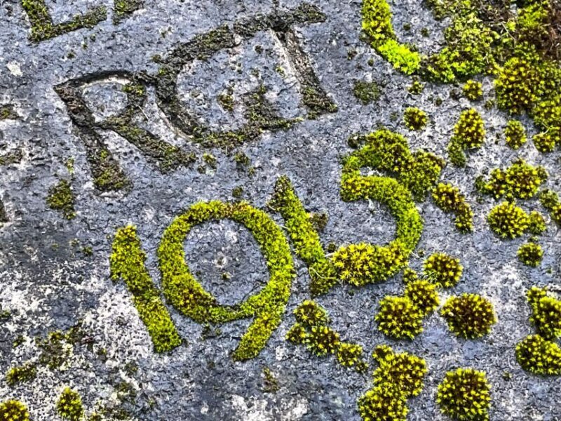 The rather unknown Melaten - The Itinerary: What to Expect from the Tour