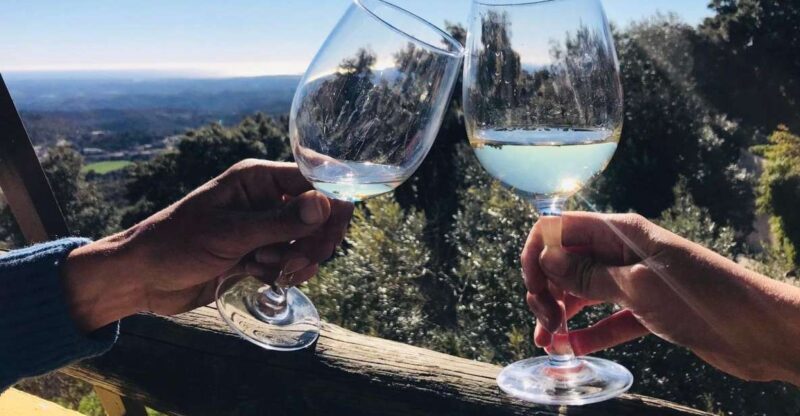 The Real Algarve: 2 Boutique Wineries & Silves Tour - Key Points