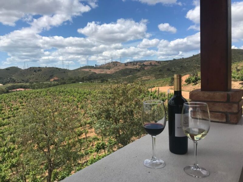 The Real Algarve: 2 Boutique Wineries & Silves Tour - Final Thoughts
