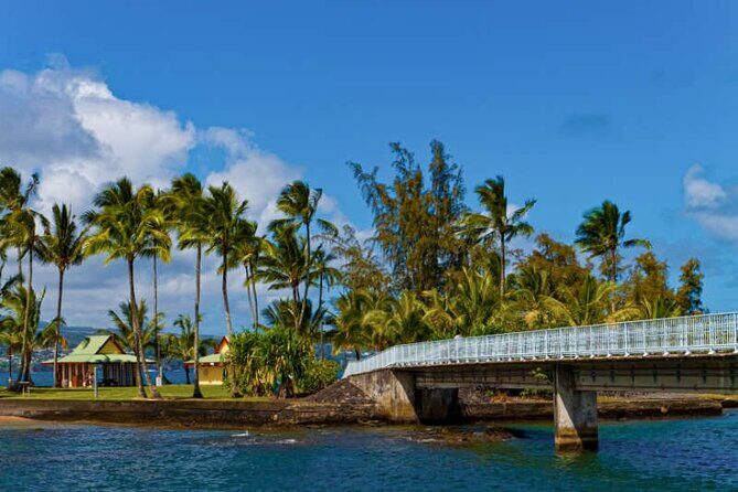 The Real Big Island: Volcanoes, Waterfalls, Beaches & Lunch - Practical Details and Tips