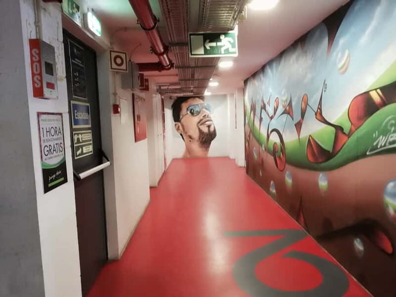 The Real Lisbon Street Art Private Guided Tour by Minivan - Who Should Consider This Tour?