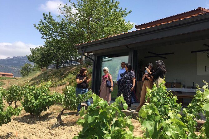 The Real Rioja Explore Tour - Private experience - Who Will Love This Tour?  