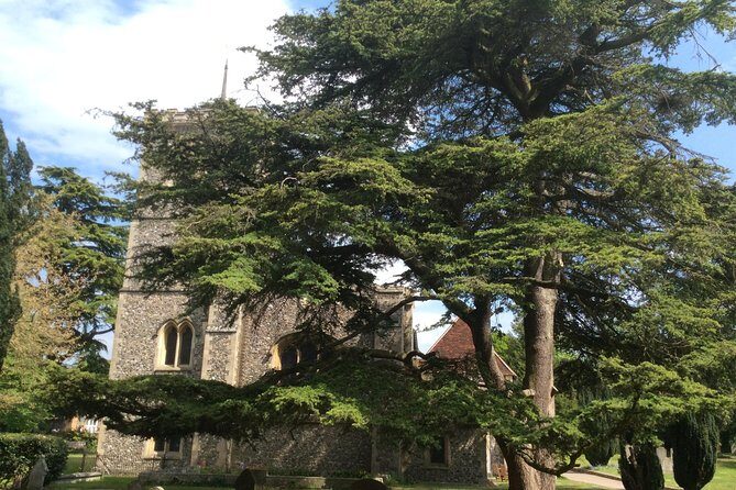 The Roman City of St Albans Private Tour - Why this Tour Works