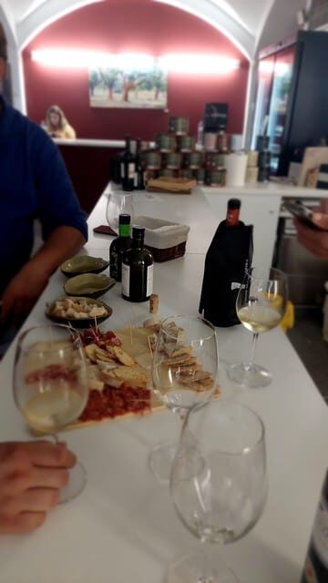 The Roman Tour & Wine tasting. - Exploring Évora Through Its Roman and Cultural Layers