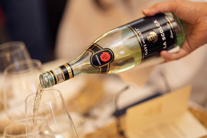 The Scolca Experience - Key Points