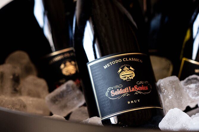 The Scolca Experience - Final Thoughts