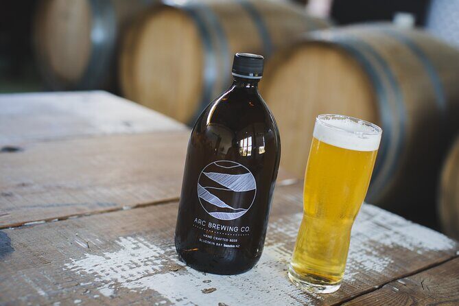 The Seasider - See Otagos Coastline From a New Perspective - What Makes This Tour Stand Out?