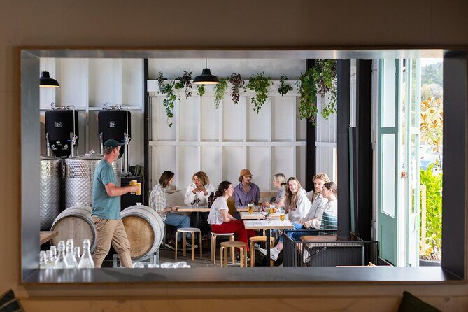 The Seasider - See Otagos Coastline From a New Perspective - The Experience in Detail: What to Expect