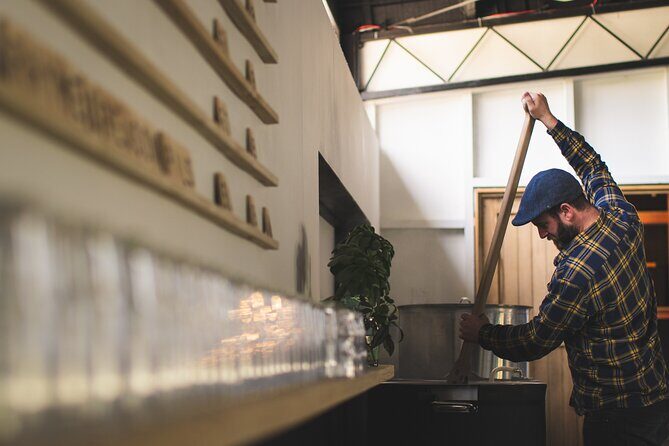 The Seasider - See Otagos Coastline From a New Perspective - Practical Details & Tips