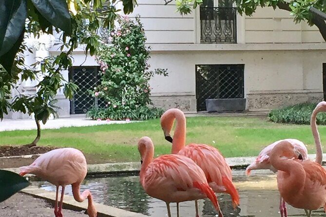 The Secret Milan  An Exclusive Stroll Beyond the Beaten Path - Exploring Milan’s Hidden Corners  