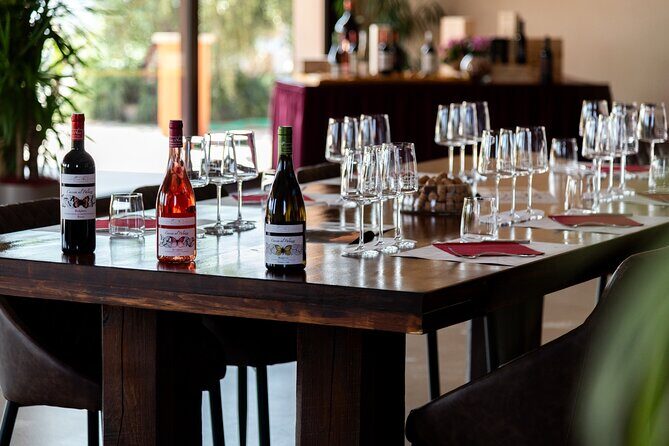 The selections - visit with Bolgheri wine tasting - What Travelers Appreciate Most