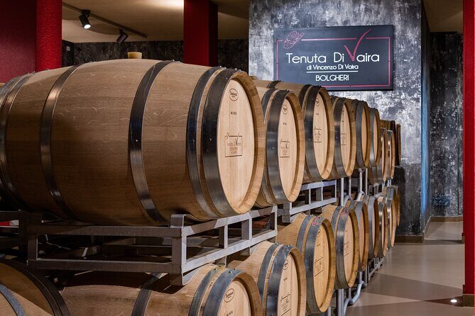 The selections - visit with Bolgheri wine tasting - Final Thoughts