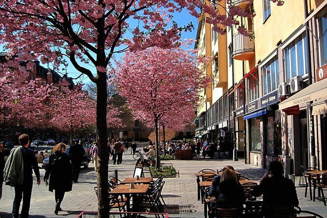 The Södermalm Tour in Stockholm - Exploring Södermalm: What to Expect