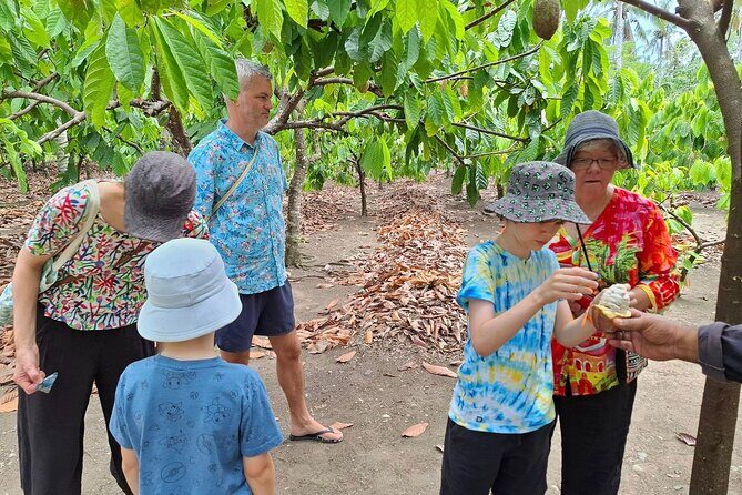 The Solomon Chocolate trail - FAQ