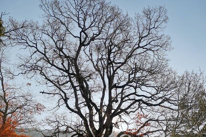 The spell of Lake Trasimeno - Trekking Tour - The Sum Up: Who Will Love This Tour?