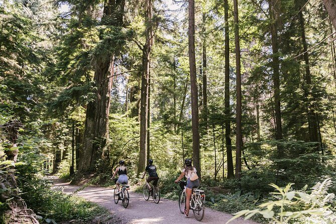 The Stanley Park Bicycle Tour by Cycle City Tours - An In-Depth Look at the Tour Experience