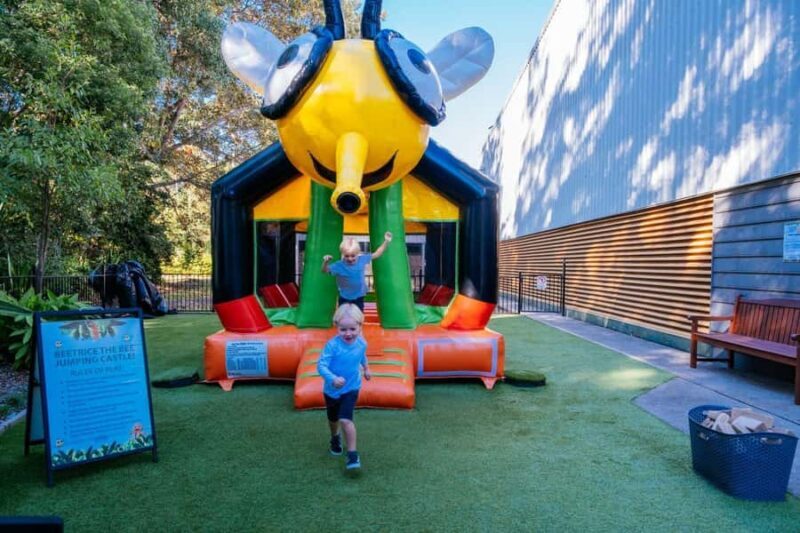 The Sunshine Coast: The Ginger Factory Play All Day - Key Points