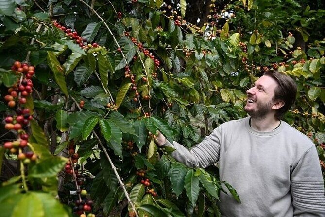 The Tastes of Tamborine Mountain - What Makes This Tour Stand Out