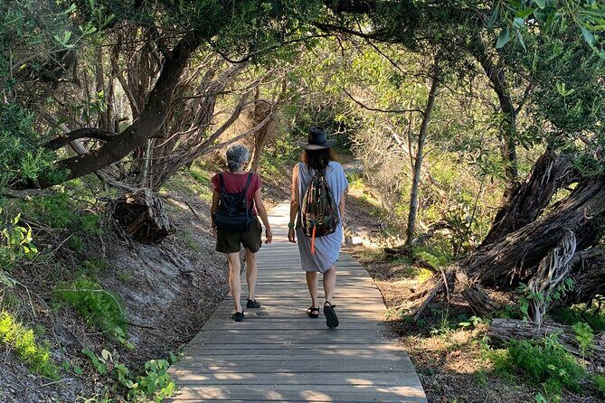 The Top Ten Hidden Harbour Beaches Tour with Jen - Who Will Love This Tour?