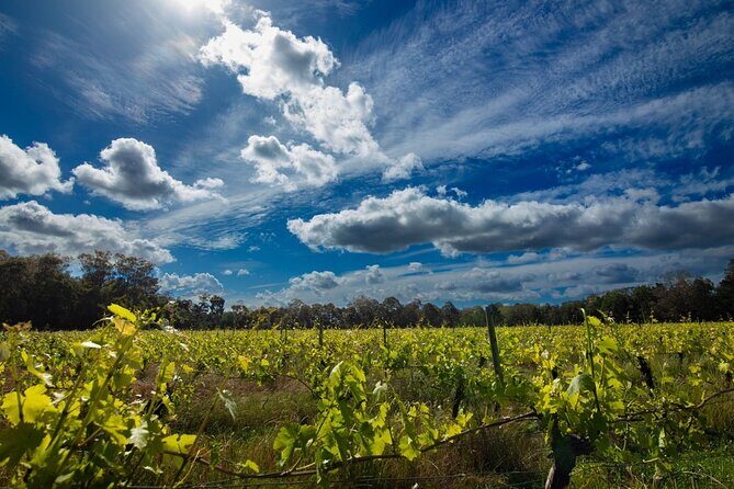 The Top-Tier Tour - FAQ