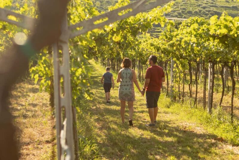 THE TRADITIONS OF VALPOLICELLA: WINE, EXTRA VIRGIN OLIVE OIL, AND HONEY TASTING - A Well-Rounded Introduction to Valpolicella’s Wine and Food Heritage