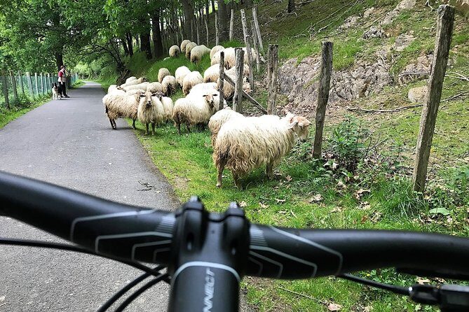 The Train Track Trail Mountain Bike Ride - Private experience - Final Thoughts