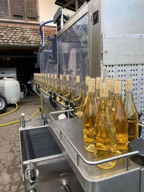 The true heart of Alsace in Riquewihr with authentic wine tasting - The Sum Up