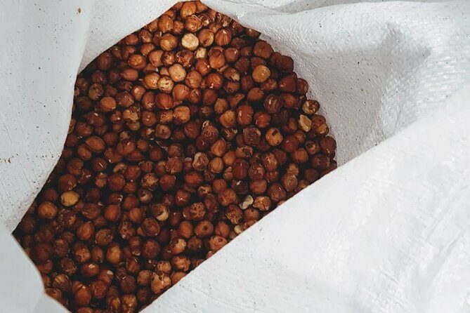 The Turin Chocolate Factory Guided Tour & Tasting - Diving Into the Experience