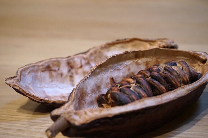 The Turin Chocolate & Wine Tasting Experience - Who Will Love This Tour?