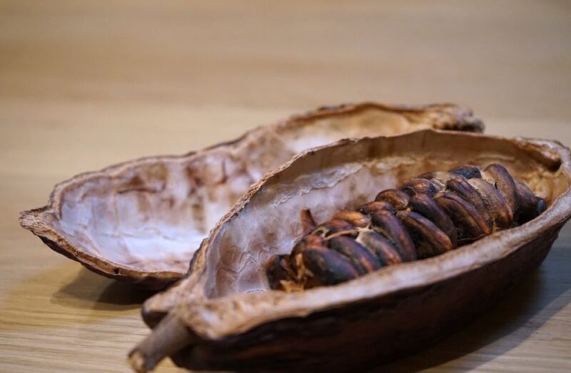 The Turin Chocolate & Wine Tasting Experience - The Sum Up