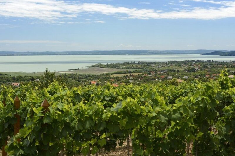 The Turquoise Sea of Hungary: Lake Balaton Private Tour - Discovering Lake Balaton