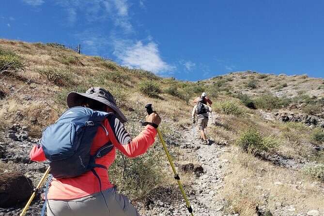 The Ultimate Camel Safari Experience in Los Cabos - Key Points