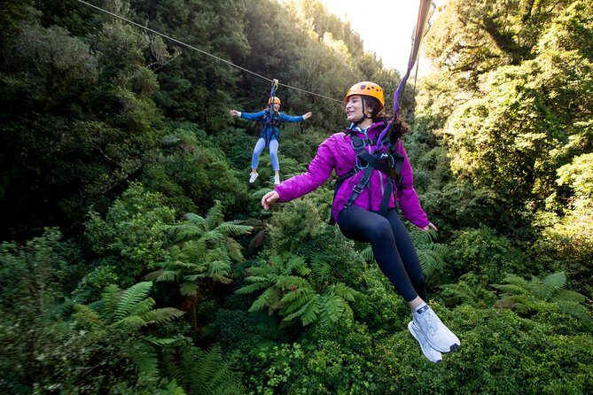 The Ultimate Canopy Zipline Experience Private Tour From Auckland - The Ultimate Canopy Zipline Experience Private Tour From Auckland