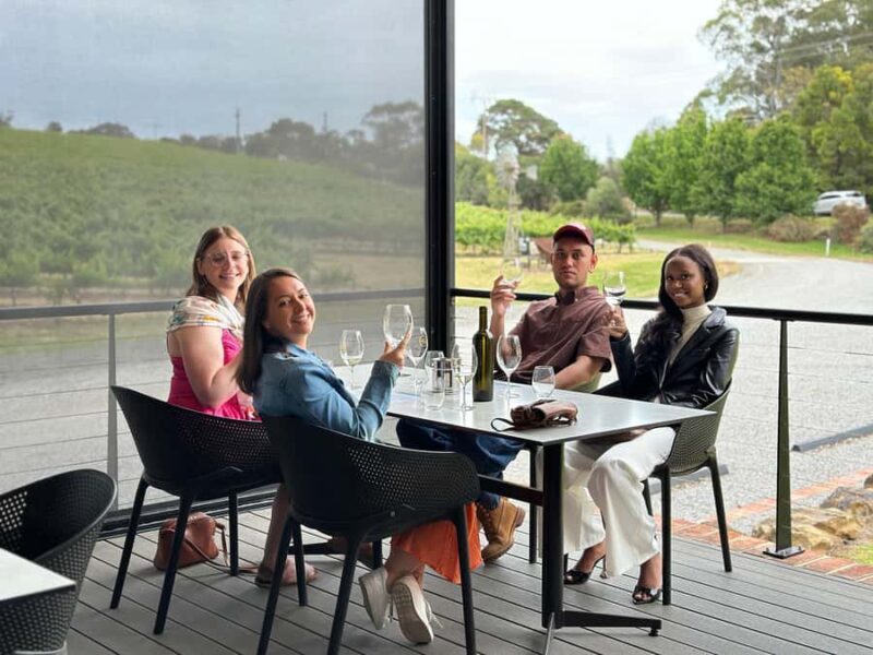 The Ultimate McLaren Vale Experience: Wine, Views & Luxury - An In-Depth Look at the Tour Experience