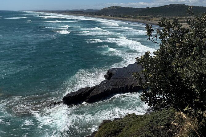 The Ultimate Muriwai Gannet Colony Experience Private Tour - The Sum Up