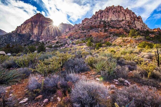 The Ultimate Red Rock Canyon Scenic Experience - What Reviewers Say