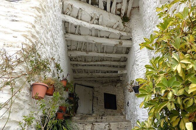 The Unchanged Villages of Alpujarra Small-Group Guided Day Trip - Why This Tour Offers Great Value