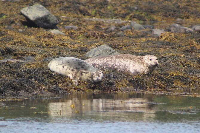 The Valentia Island Experience - FAQs