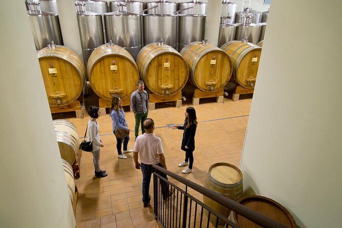 The Valpolicella food & wine driving tour: cheese factory+ winery - Final Thoughts