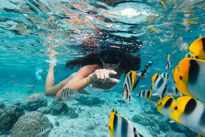 The Vanilla tour of Taha'a in a comfortable outrigger canoe - Exploring the Itinerary in Detail