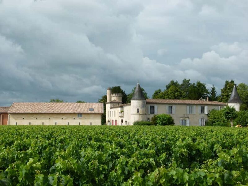 The vertical at Château Cruzeau - Exploring The Vertical at Château Cruzeau: A Wine Tour Worth Savoring