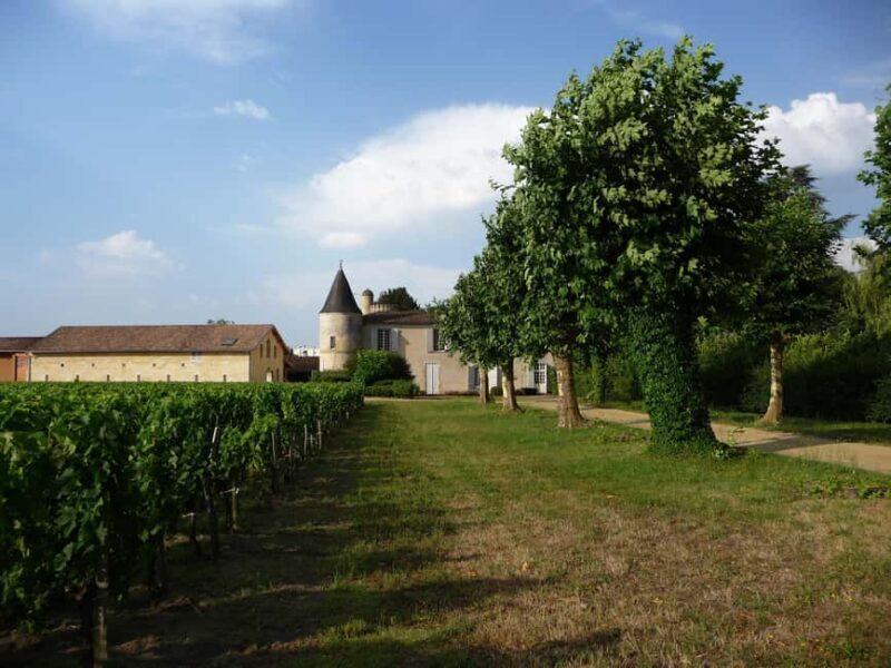 The vertical at Château Cruzeau - A Walk Through History and Vine Culture
