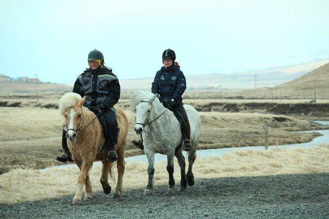 The Viking Horse Riding Experience in North Iceland - Practical Details for Planning