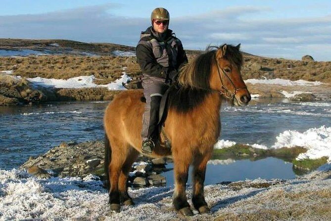 The Viking Horse Riding Experience in North Iceland - Why This Experience Might Be Perfect for You